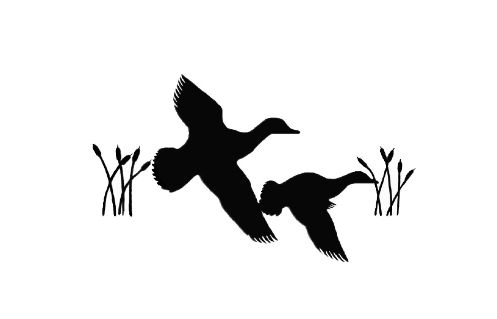 Products – White Wing Hat co